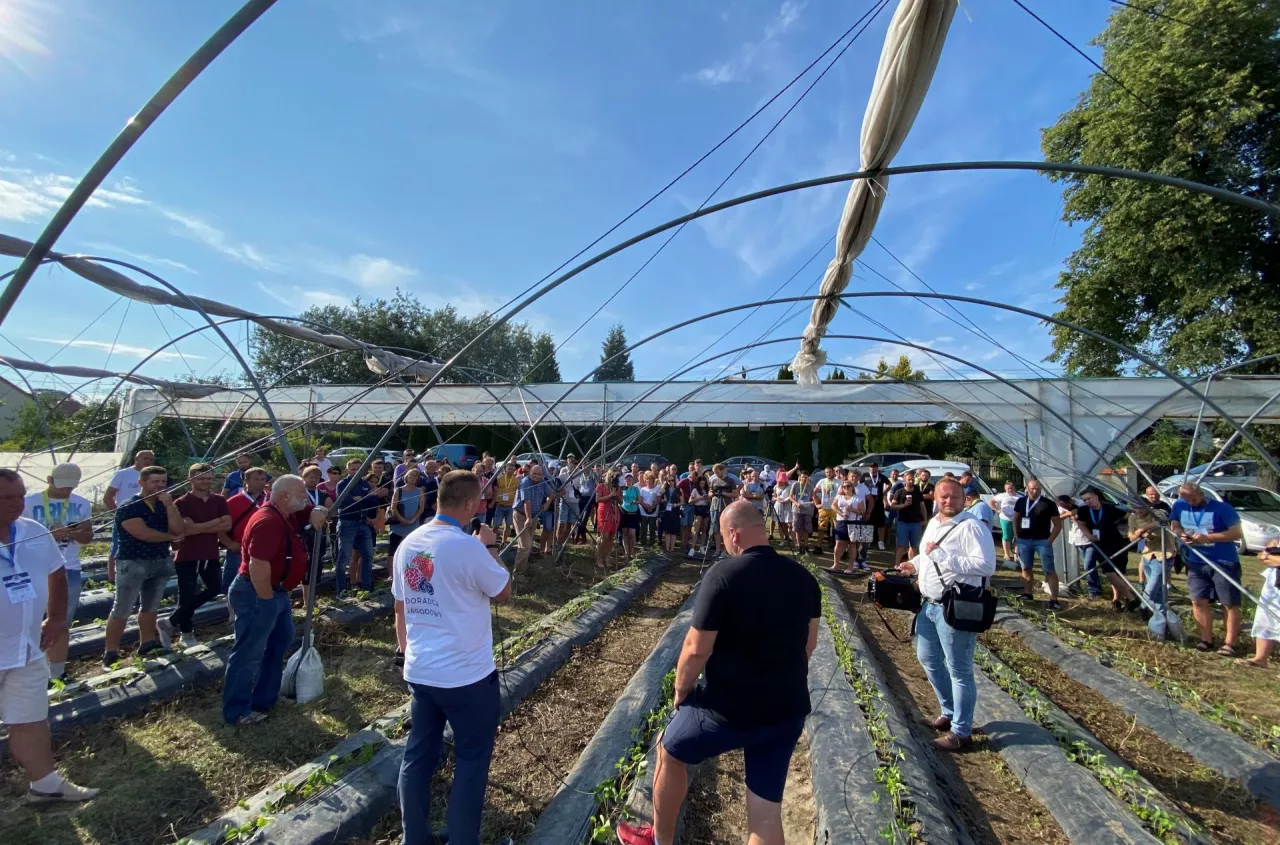 Berry Tech 2025 – jedno z najważniejszych wydarzeń w jagodowej branży już za niespełna 2 tygodnie!!